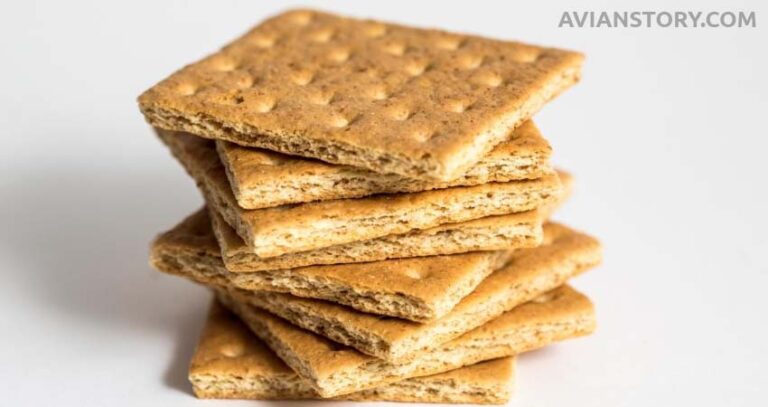 Can Cockatiels Eat Graham Crackers?